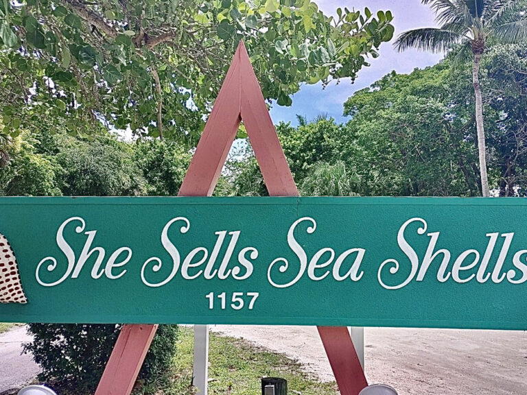 - She Sells Sea Shells | Sanibel Island, Florida Gifts And More