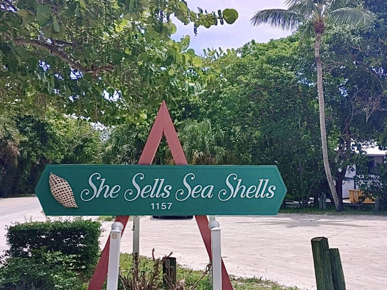 | She Sells Sea Shells | Sanibel Island, Florida Gifts And More